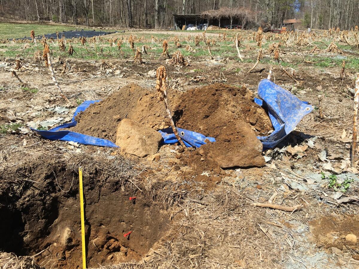 2021 – Organic farming work – Soil Biogeochemistry – Trace Metals and ...